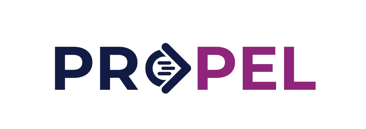 SERVICES – raptors.tech